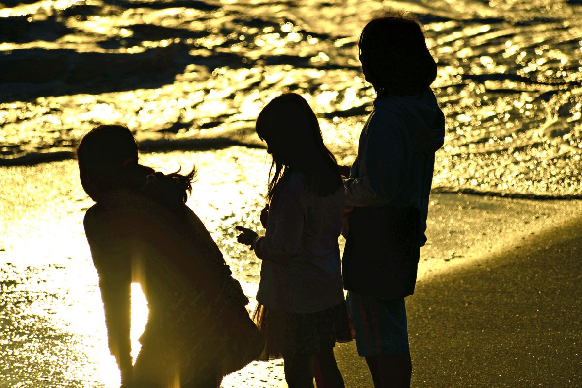 ゴールドラッシュ | GANREF