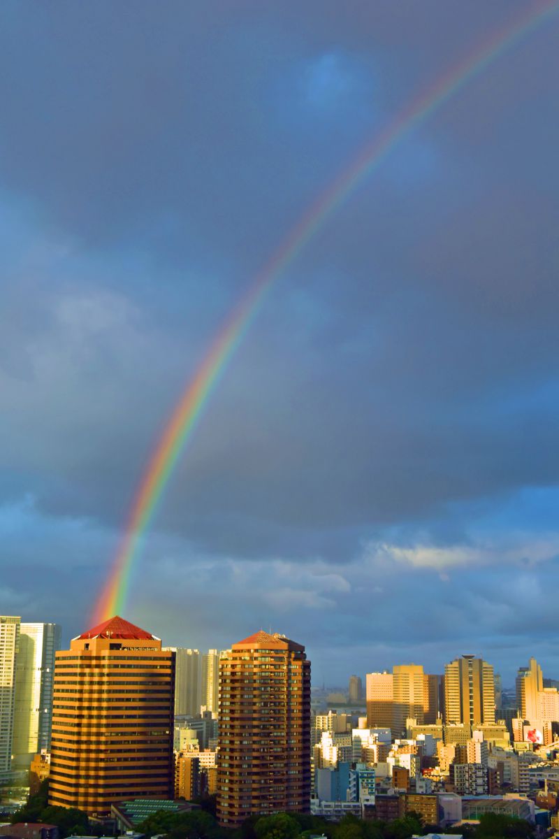 office raibow | GANREF