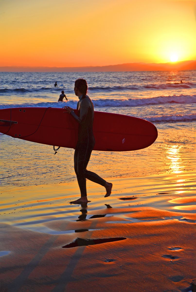 Surferガール | GANREF