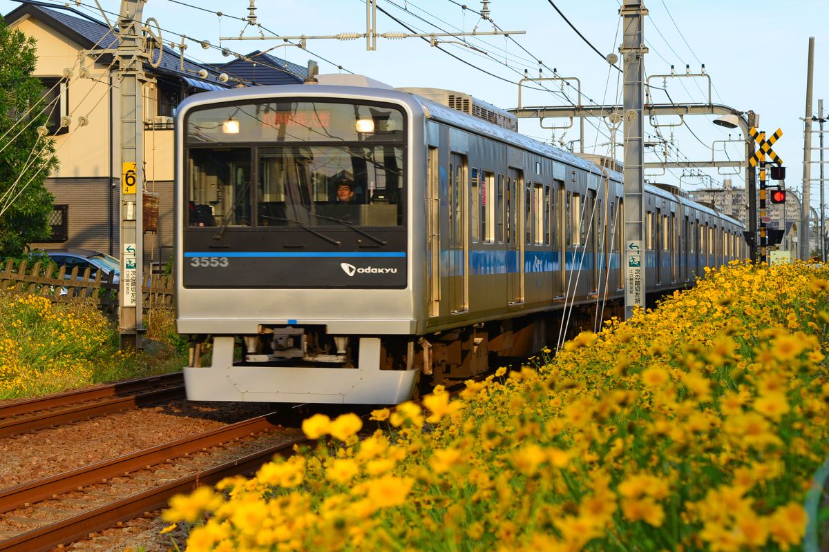 湘南電車 | GANREF