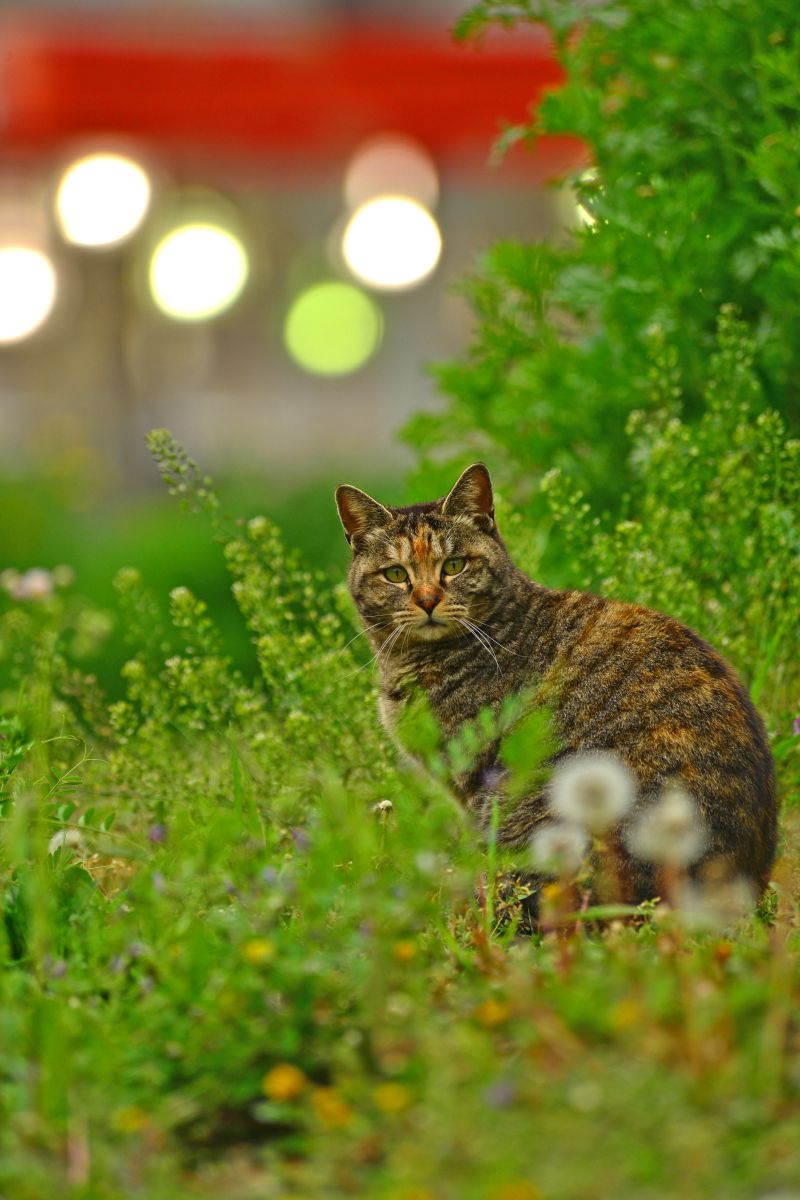 なんだよ～ | GANREF