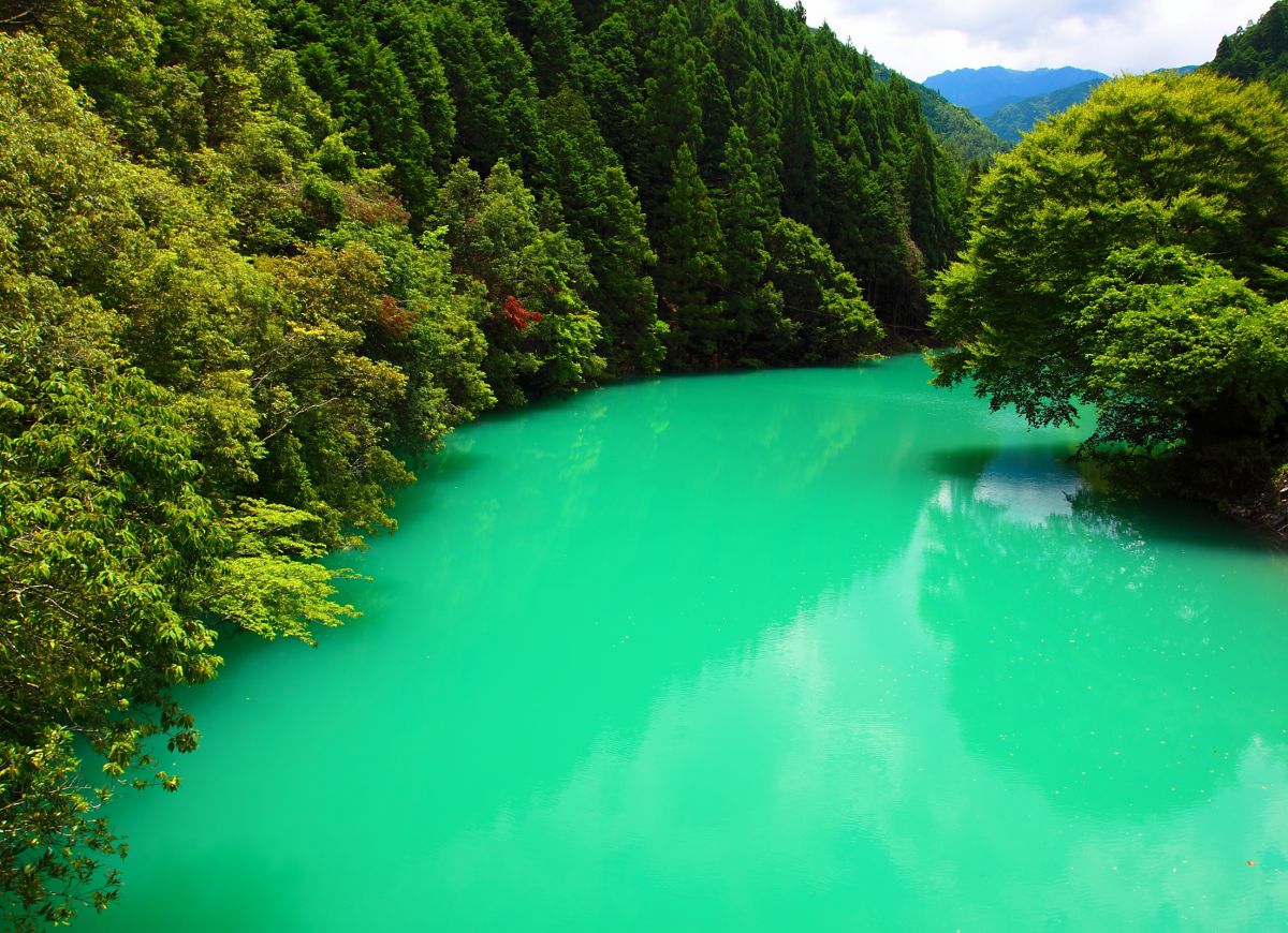 EMERALD RIVER | GANREF