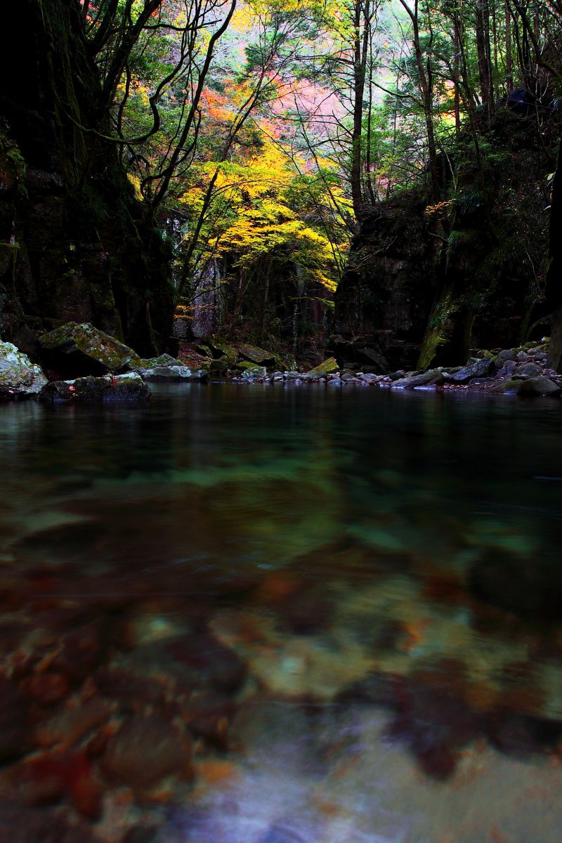 扉の向こう | GANREF