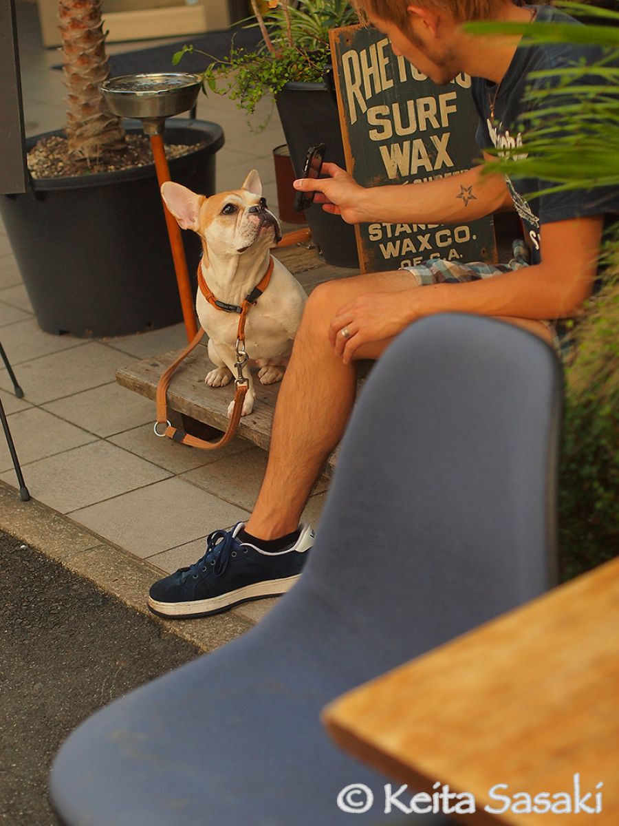 柿色の街_026 | GANREF