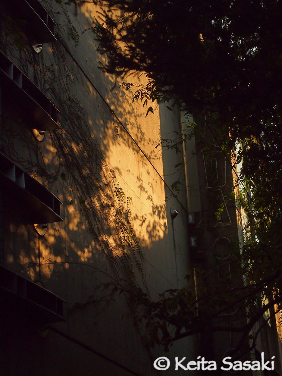 柿色の街_033 | GANREF