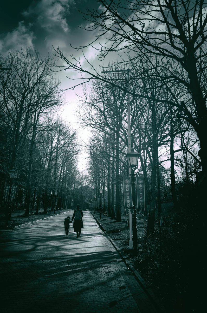 銀幕の中のFin | GANREF