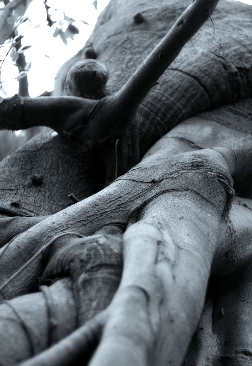 出してくれ！ | GANREF