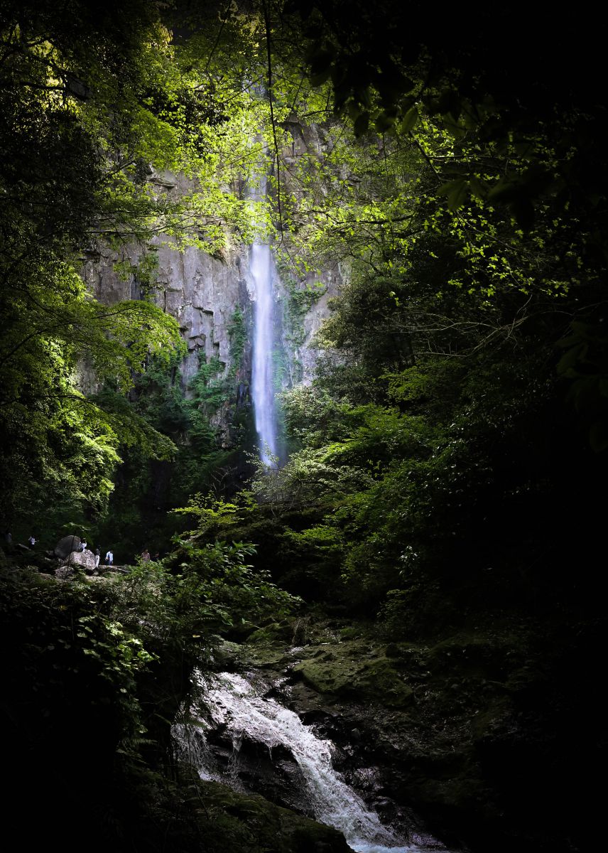 「Waterfall」 | GANREF