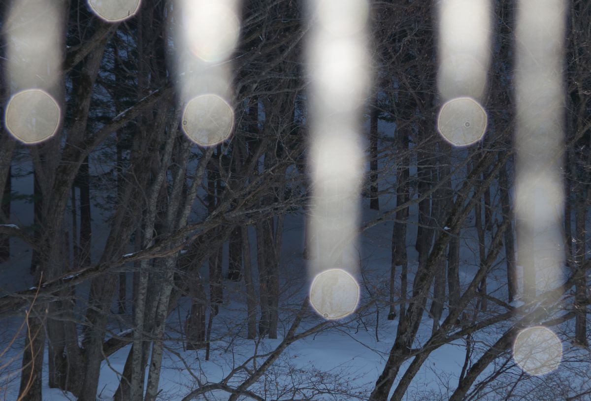 winter symphony | GANREF