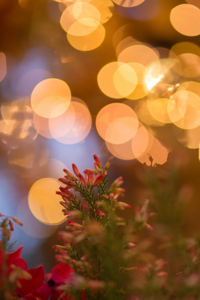 Waiting for you | GANREF