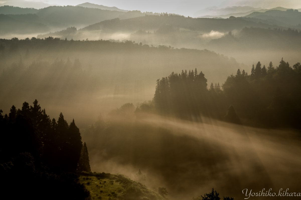 越後木沢の風 | GANREF