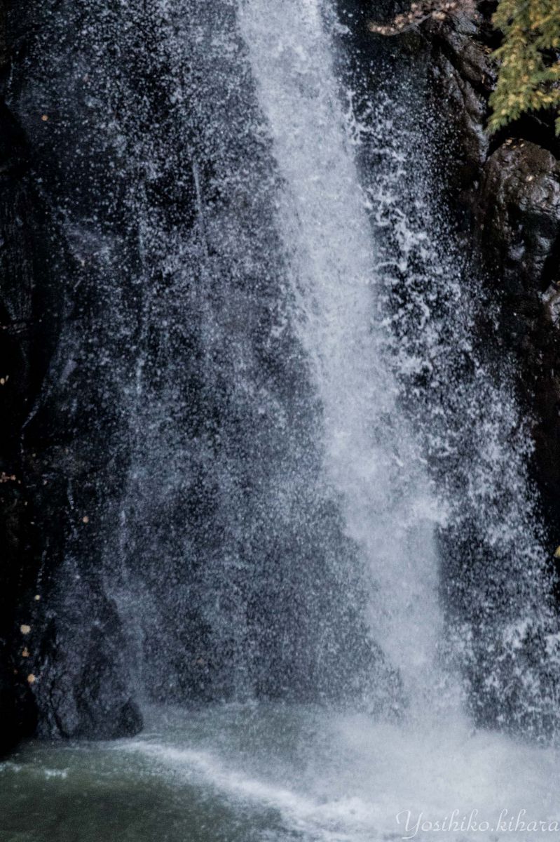 不動明王 | GANREF