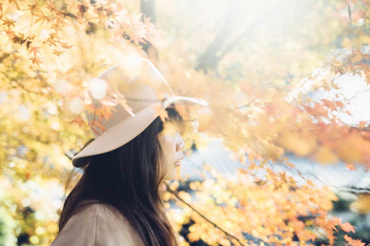 Feel Autumn Air | GANREF