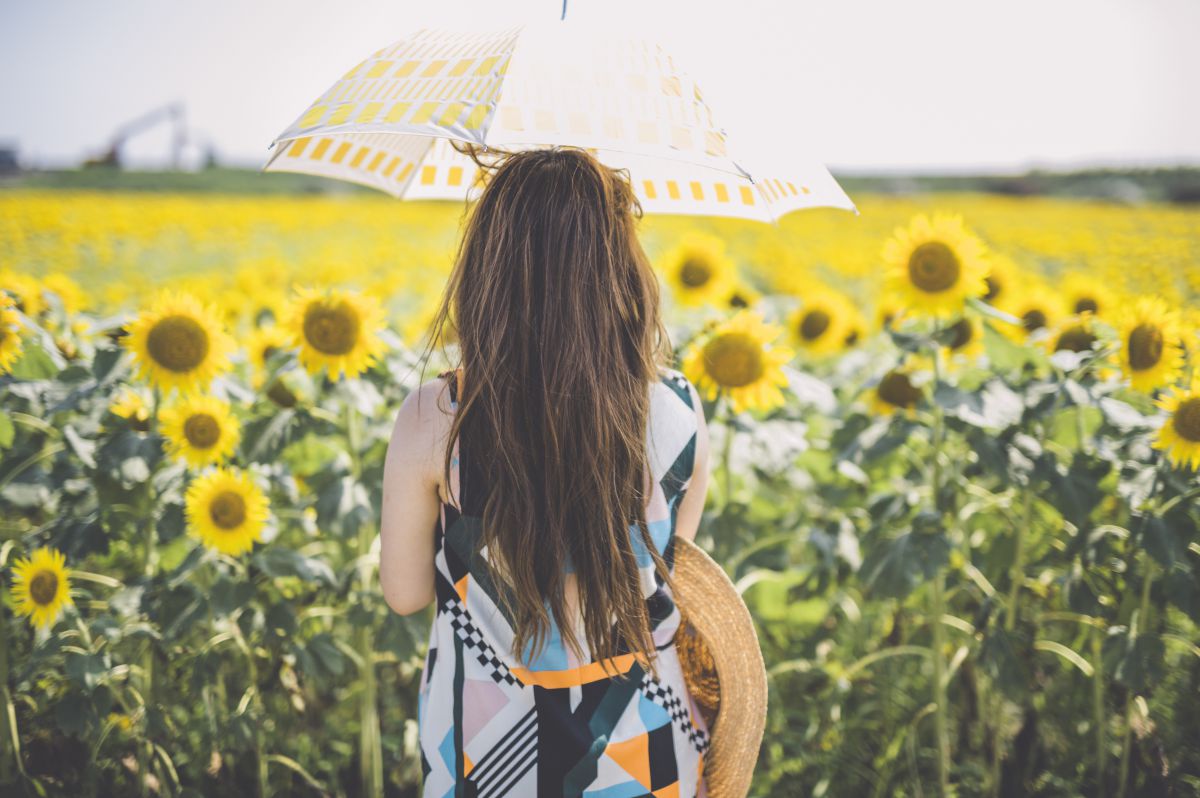 One summer day | GANREF