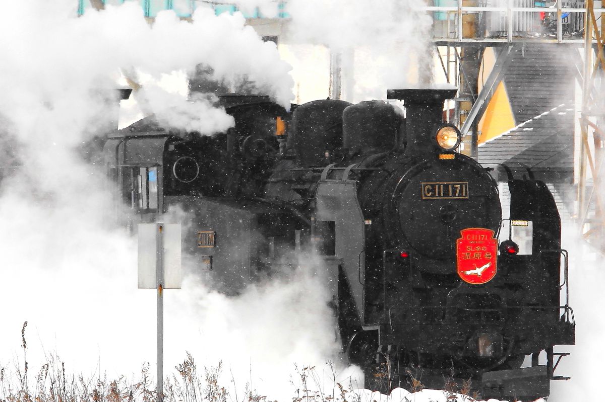 さあ行くぞC11 | GANREF