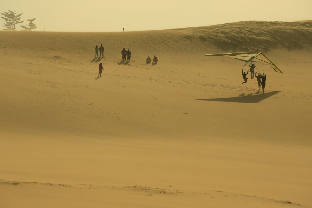 Flight of Phoenix | GANREF