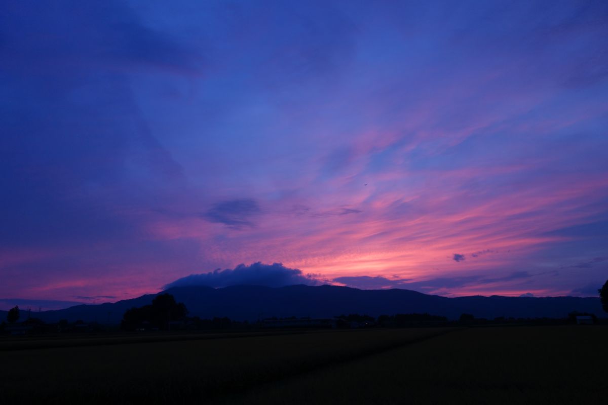 ピンクに染まるブール | GANREF