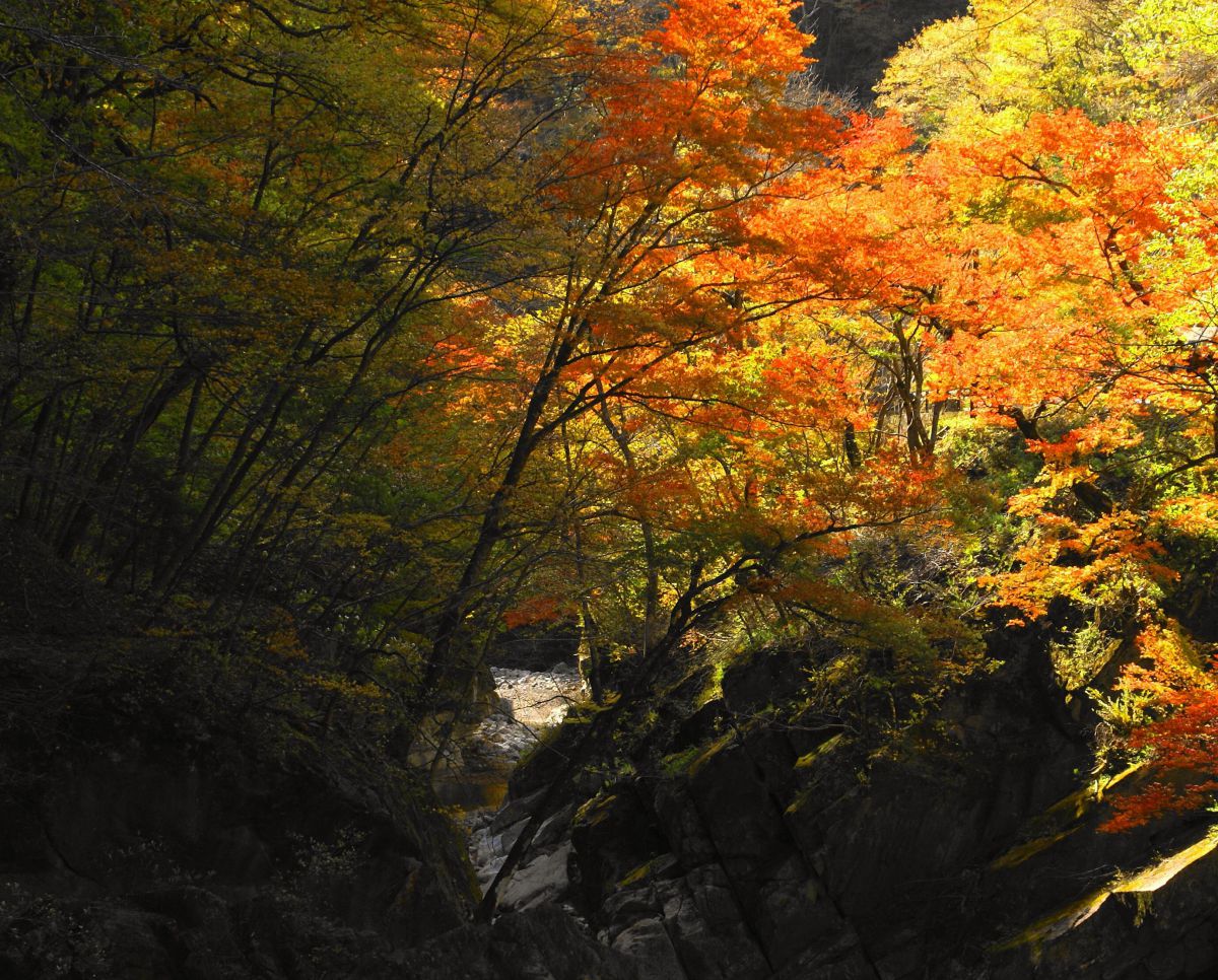 中津渓谷-002.JPG | GANREF