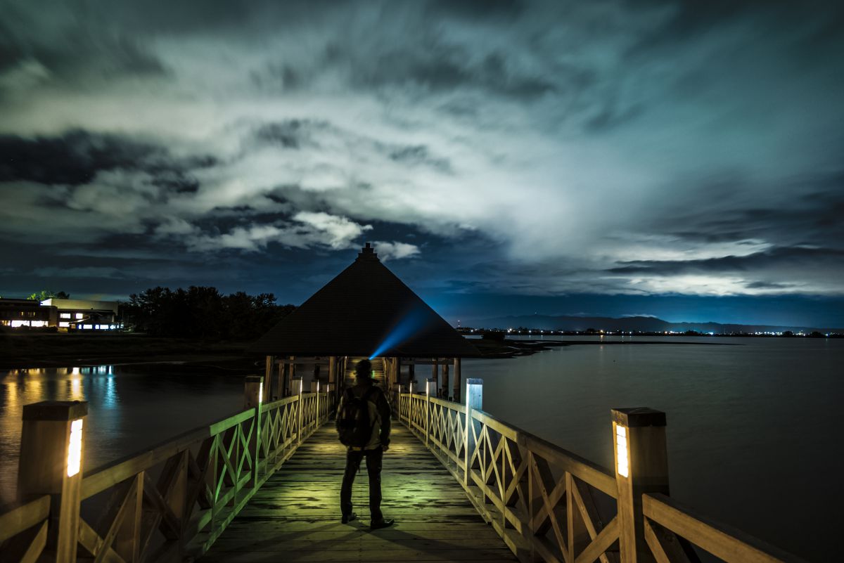 lonely night | GANREF