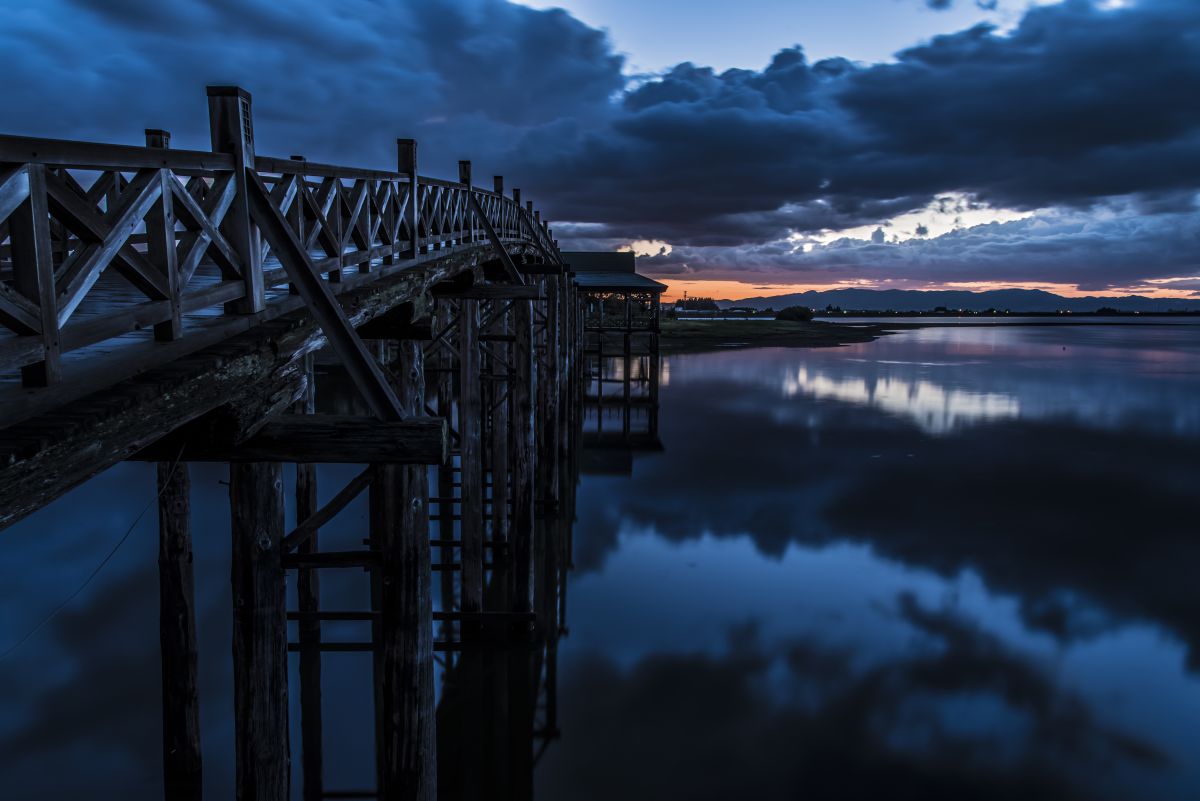 BLUE TRANSPARENCY | GANREF