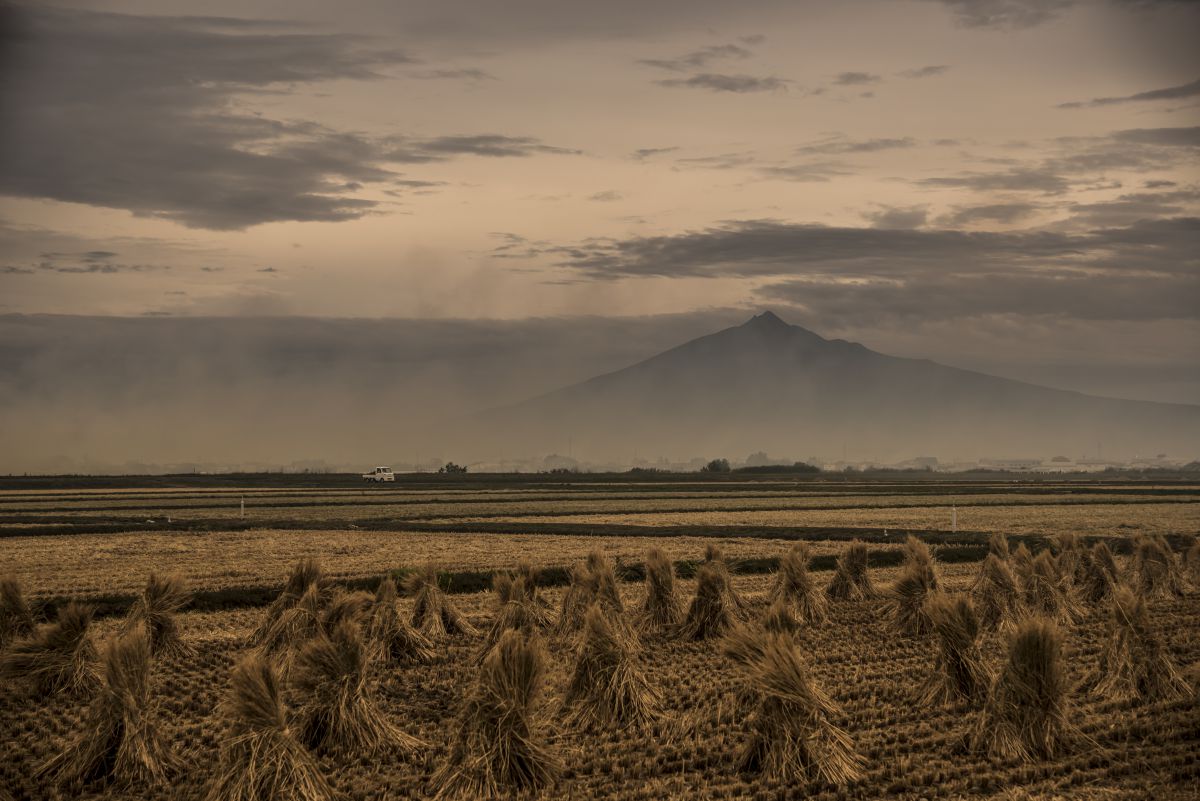 smoke gets in your eyes | GANREF