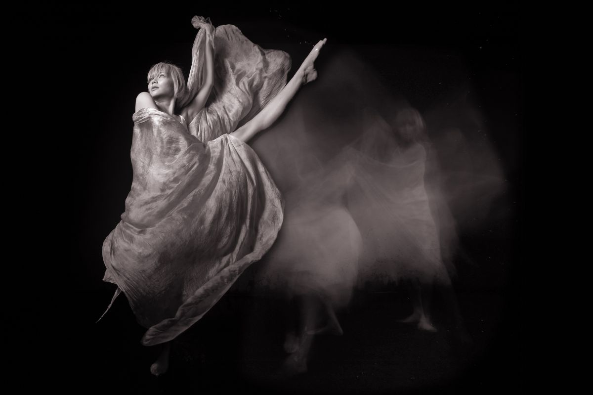 Swallowtail Butterfly | GANREF