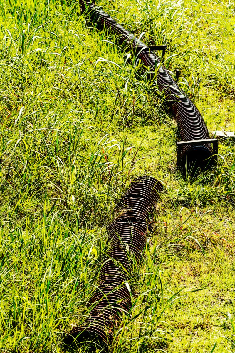 disconnected | GANREF