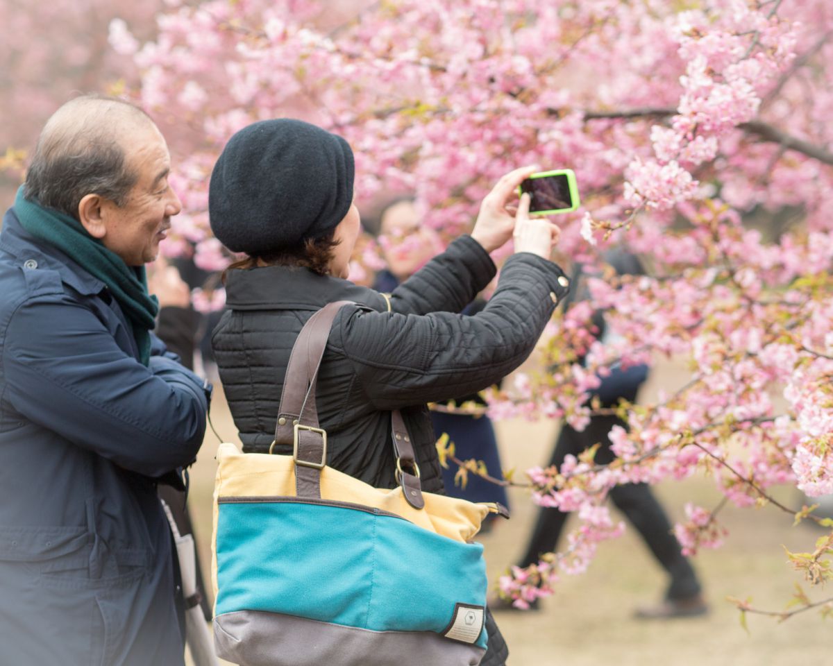 spring has come #2 | GANREF