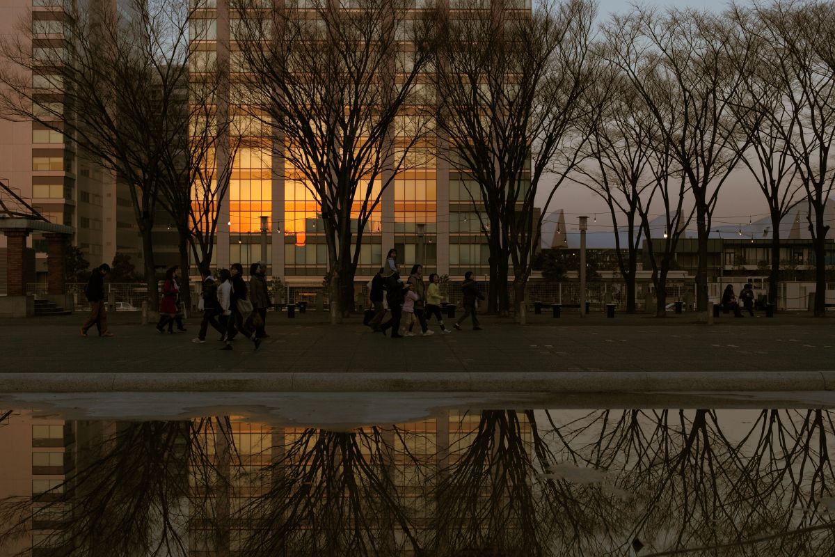 The sun is going down | GANREF