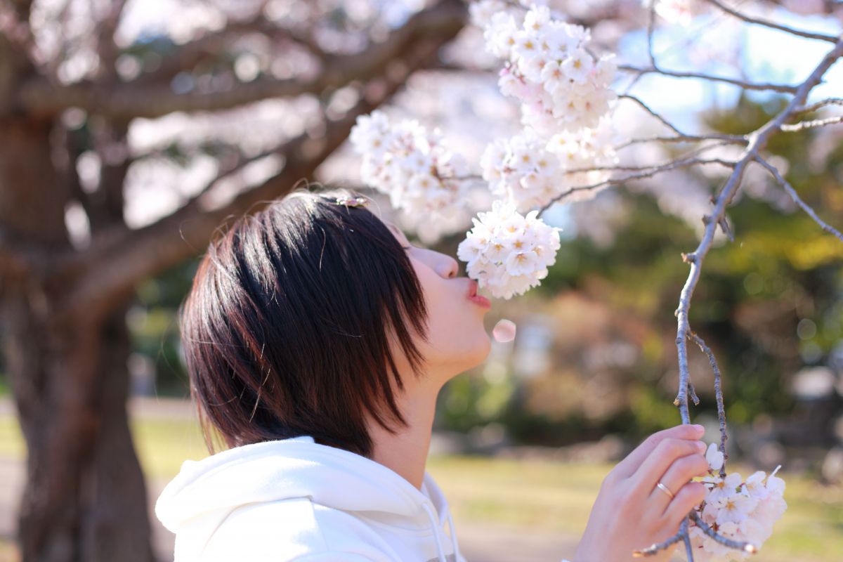 桜~Kiss~ | GANREF