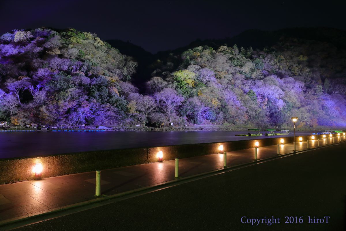 Kyoto Arashiyama Hanatouro 2016 | GANREF