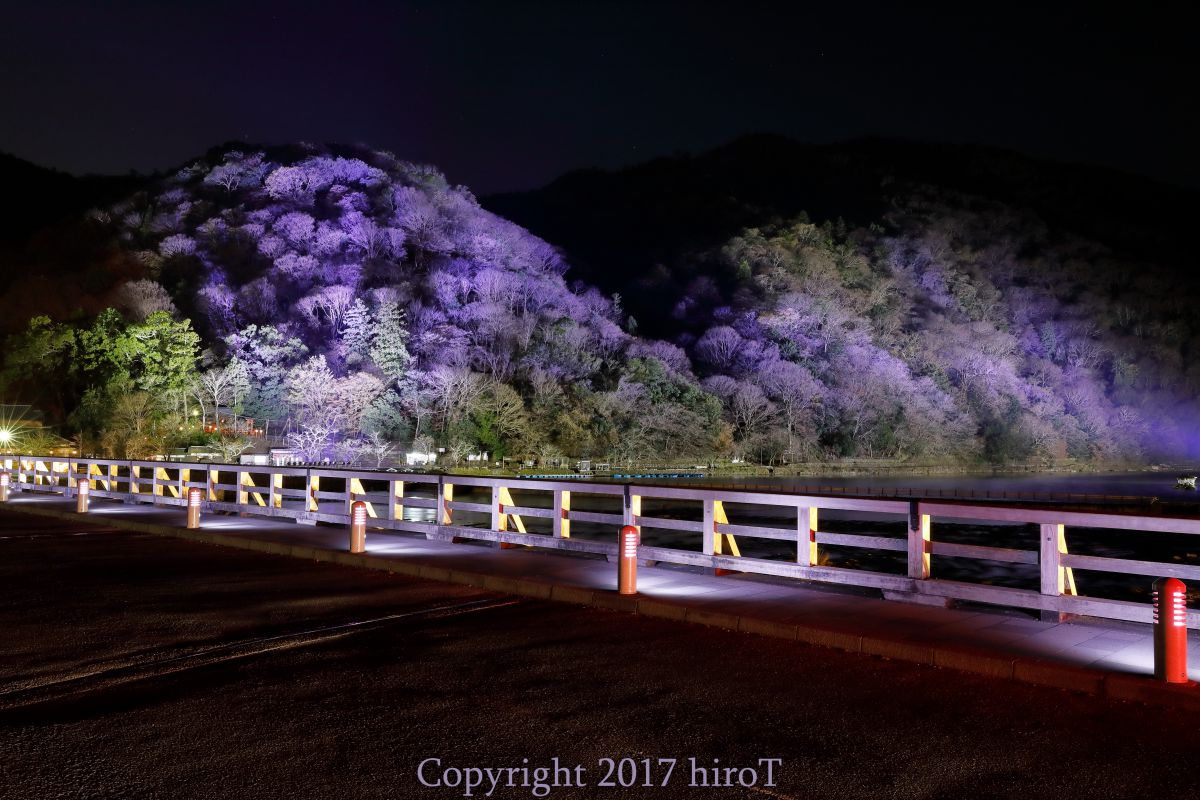 Kyoto Arashiyama Hanatouro 2017 | GANREF