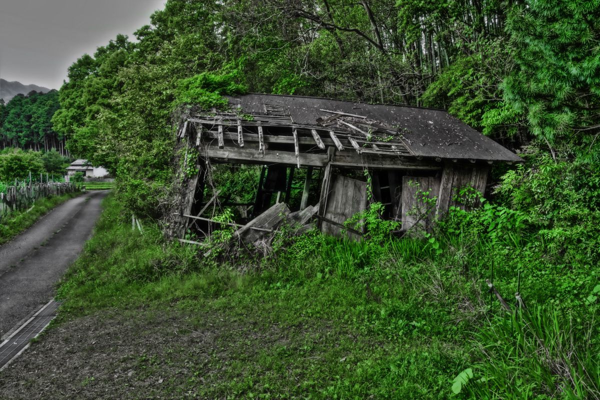 侵緑 【HDR】 | GANREF