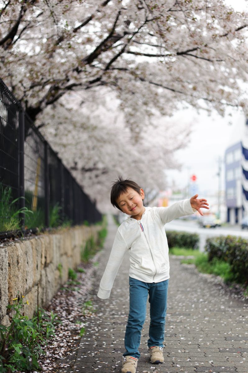 cloudy with blossoms | GANREF