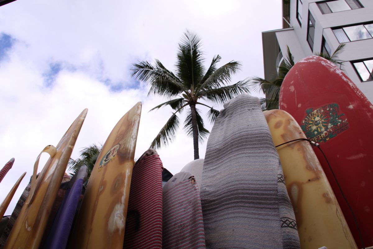 で、でかい | GANREF