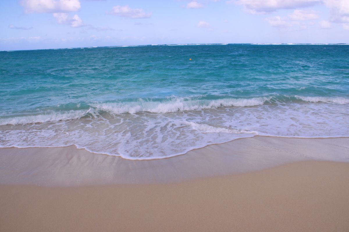 南国の海 | GANREF