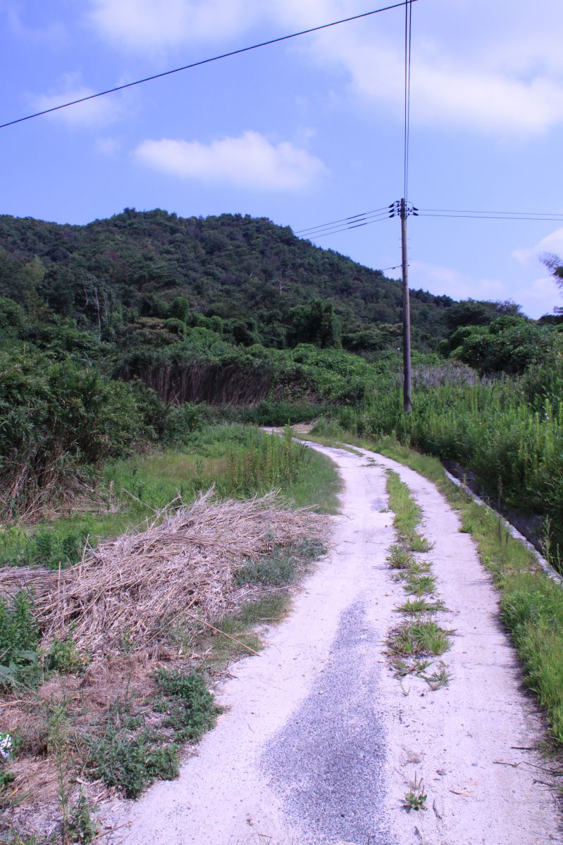 田舎道2 | GANREF