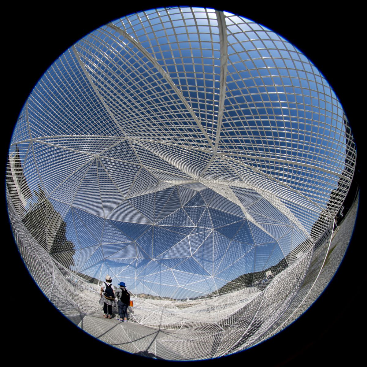 Pavilion Ball | GANREF