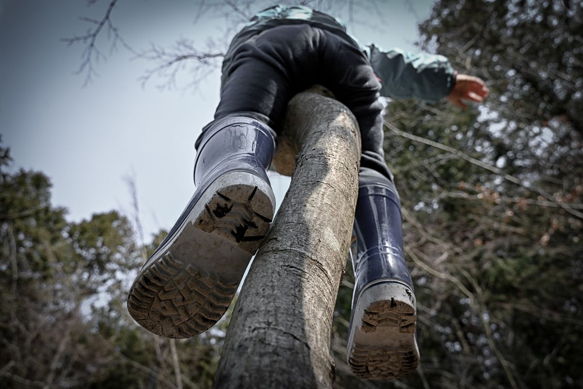 木登り | GANREF