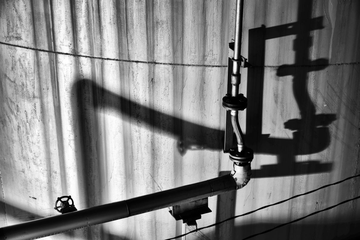 Light and Shadow | GANREF