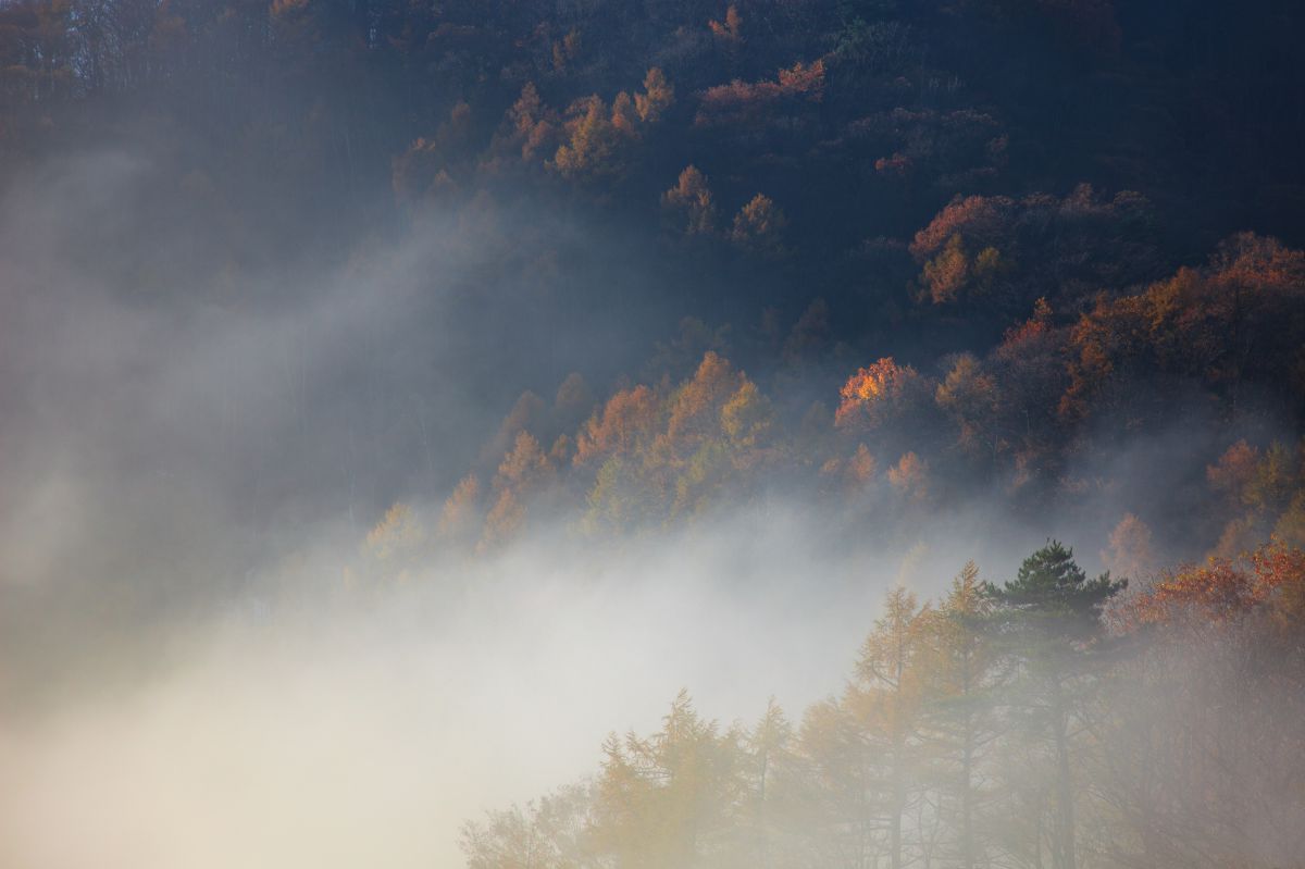 紅葉、始まる | GANREF