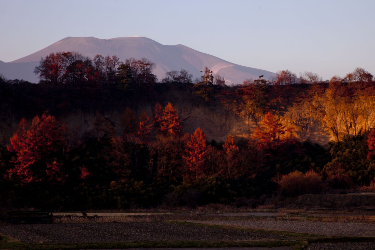 フィナーレ | GANREF