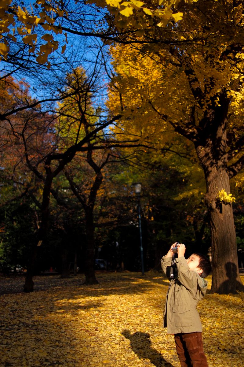 カメラマン・続 | GANREF