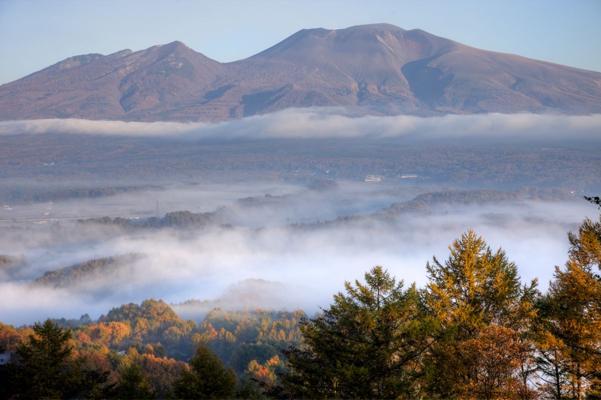 ただいまっ！ | GANREF