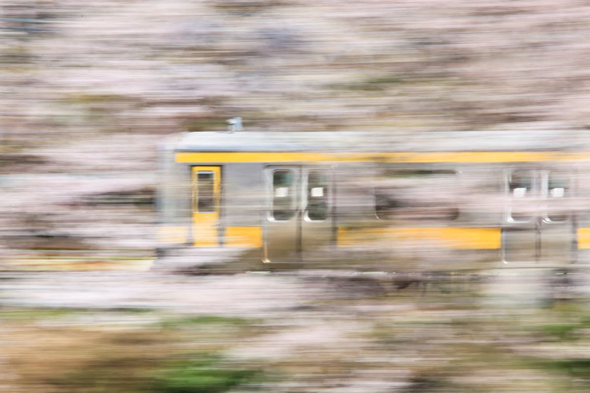 春を駆ける | GANREF