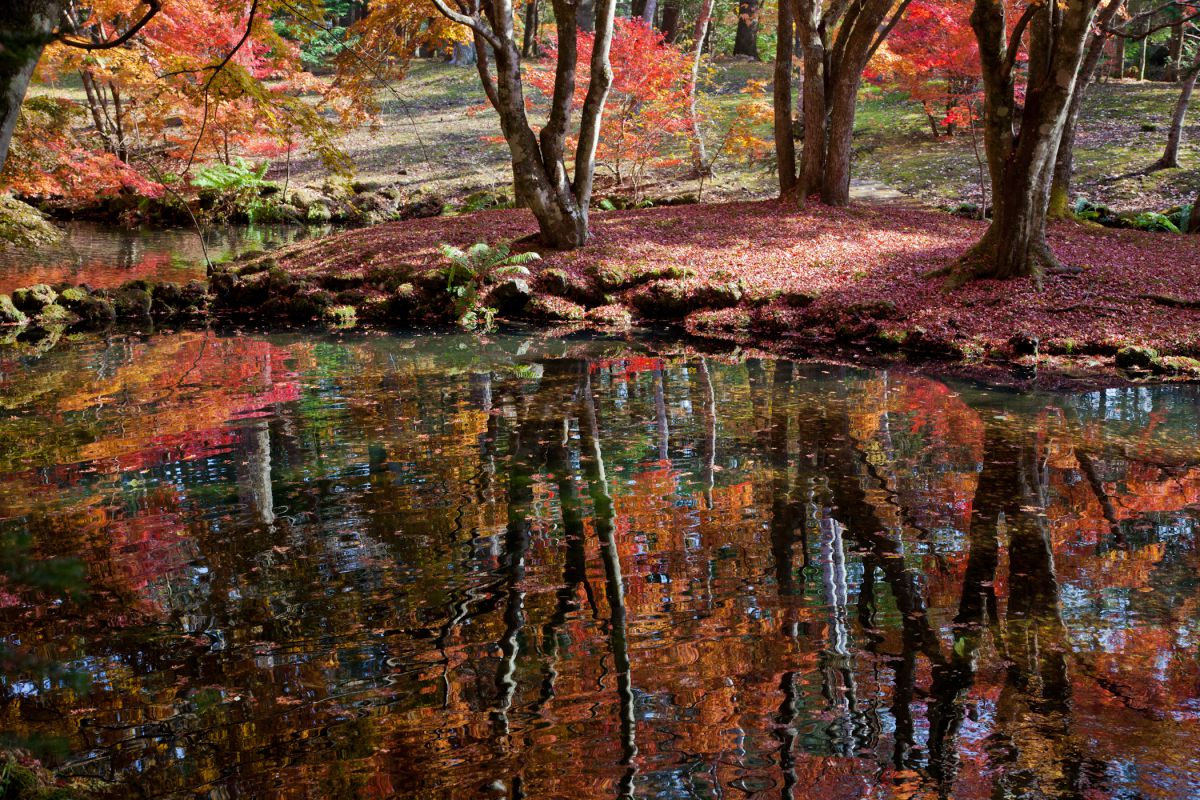 ある意味借景 | GANREF