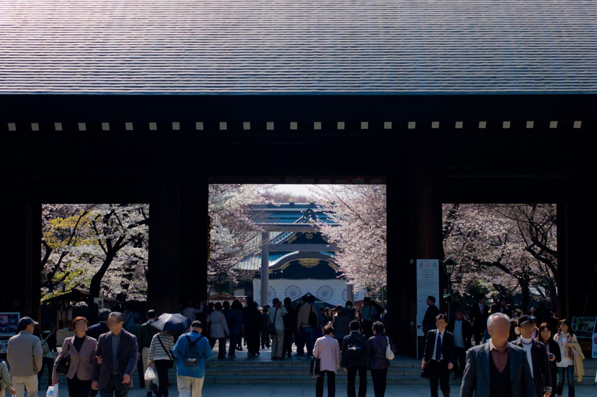 靖国満開 | GANREF