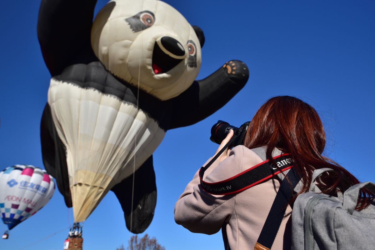 Panda hunter | GANREF