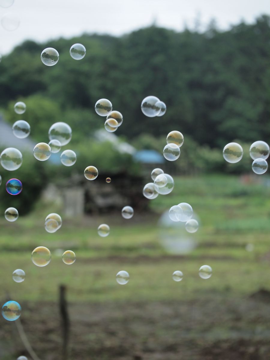 シャボン玉とんだ～♪ | GANREF