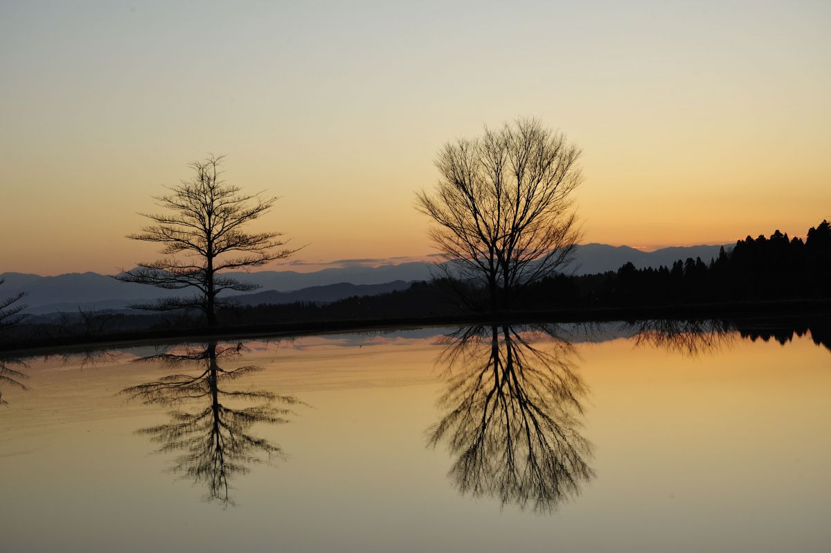 静かな棚田 | GANREF